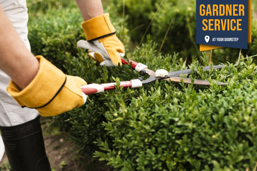 Gardening & Lawn Landscaping Services | Gardening Services